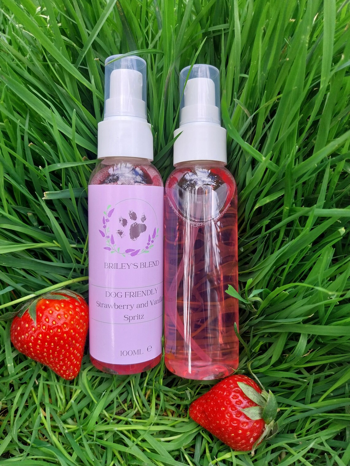 Lavender Spray for Dogs, Dog Friendly Cologne, Essential Oils for Dogs ...