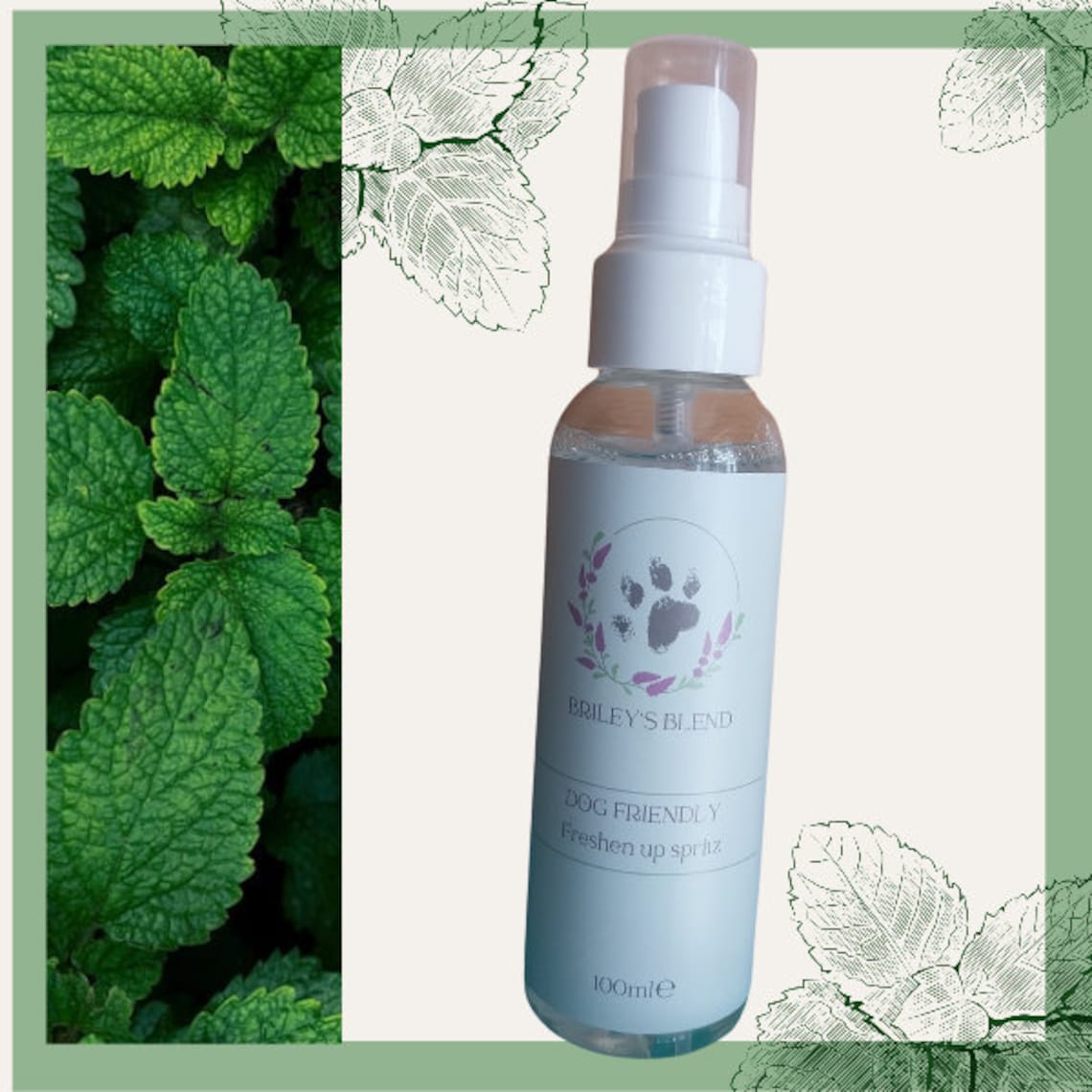 Lavender Spray for Dogs, Dog Friendly Cologne, Essential Oils for Dogs ...