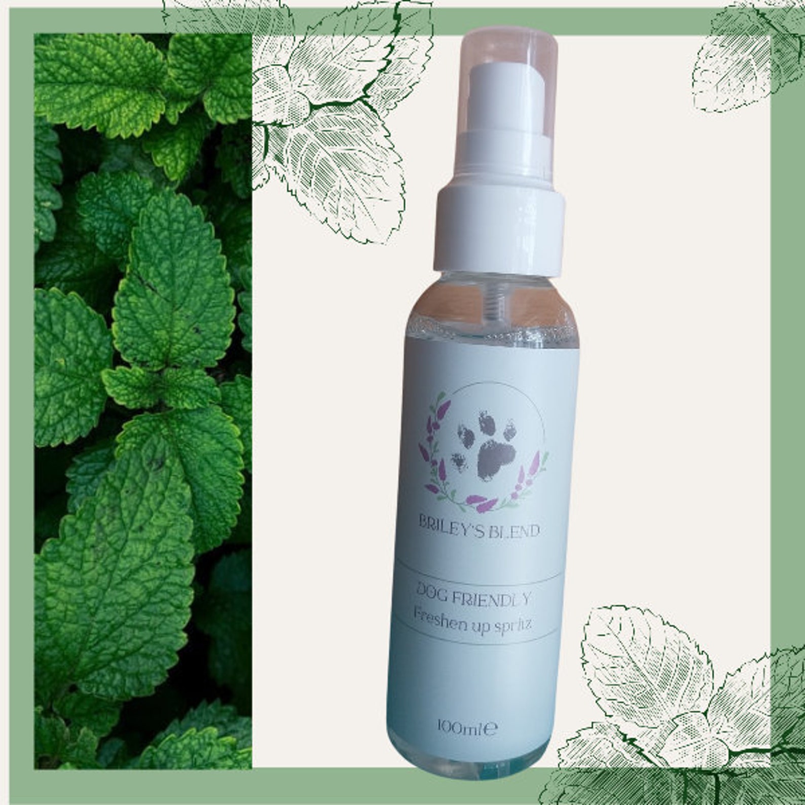 Lavender Spray for Dogs, Dog Friendly Cologne, Essential Oils for Dogs ...