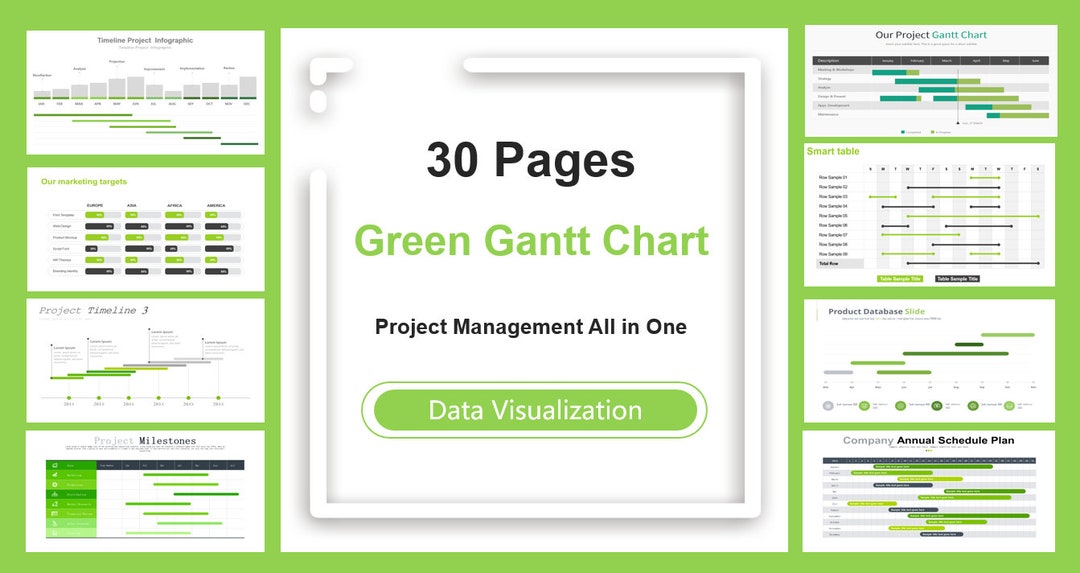 Project Management Template | PPT Dashboard | Project Tracker | Project ...