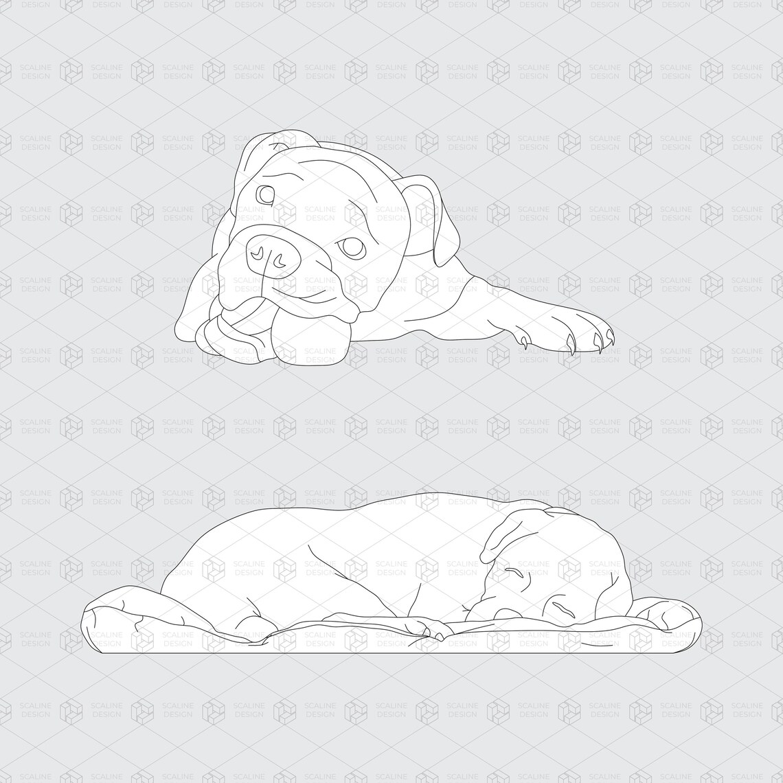 Drawings Pets Domestic Animals, Vector Illustration, Elevation, DWG PNG ...