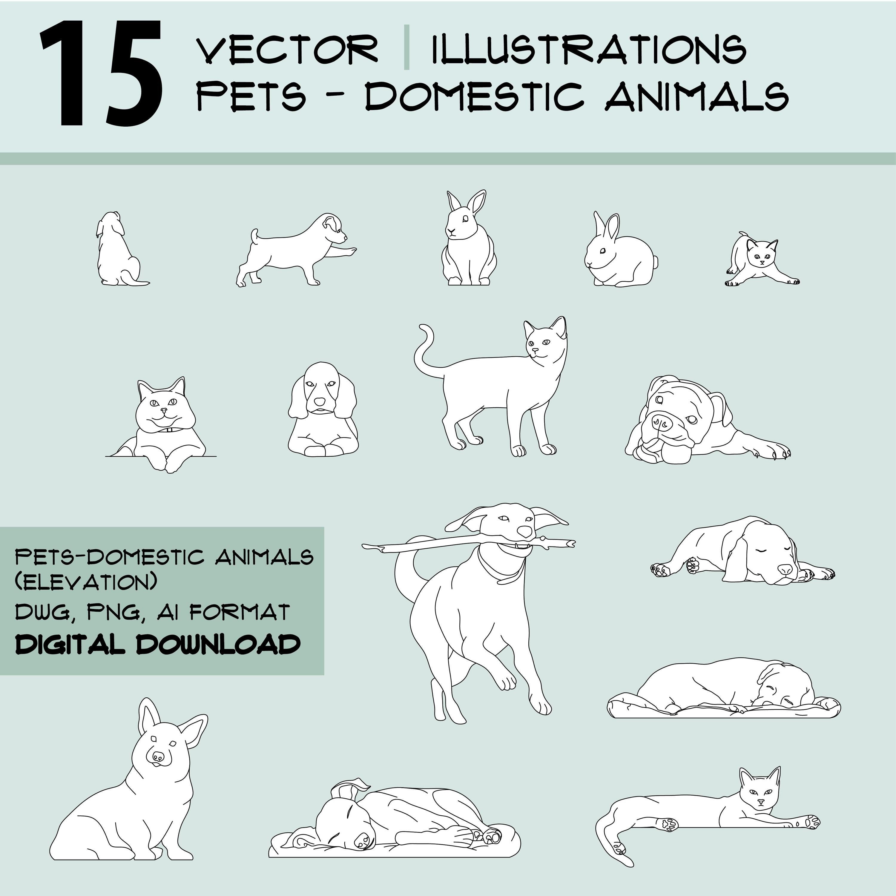 Drawings Pets Domestic Animals, Vector Illustration, Elevation, DWG PNG ...