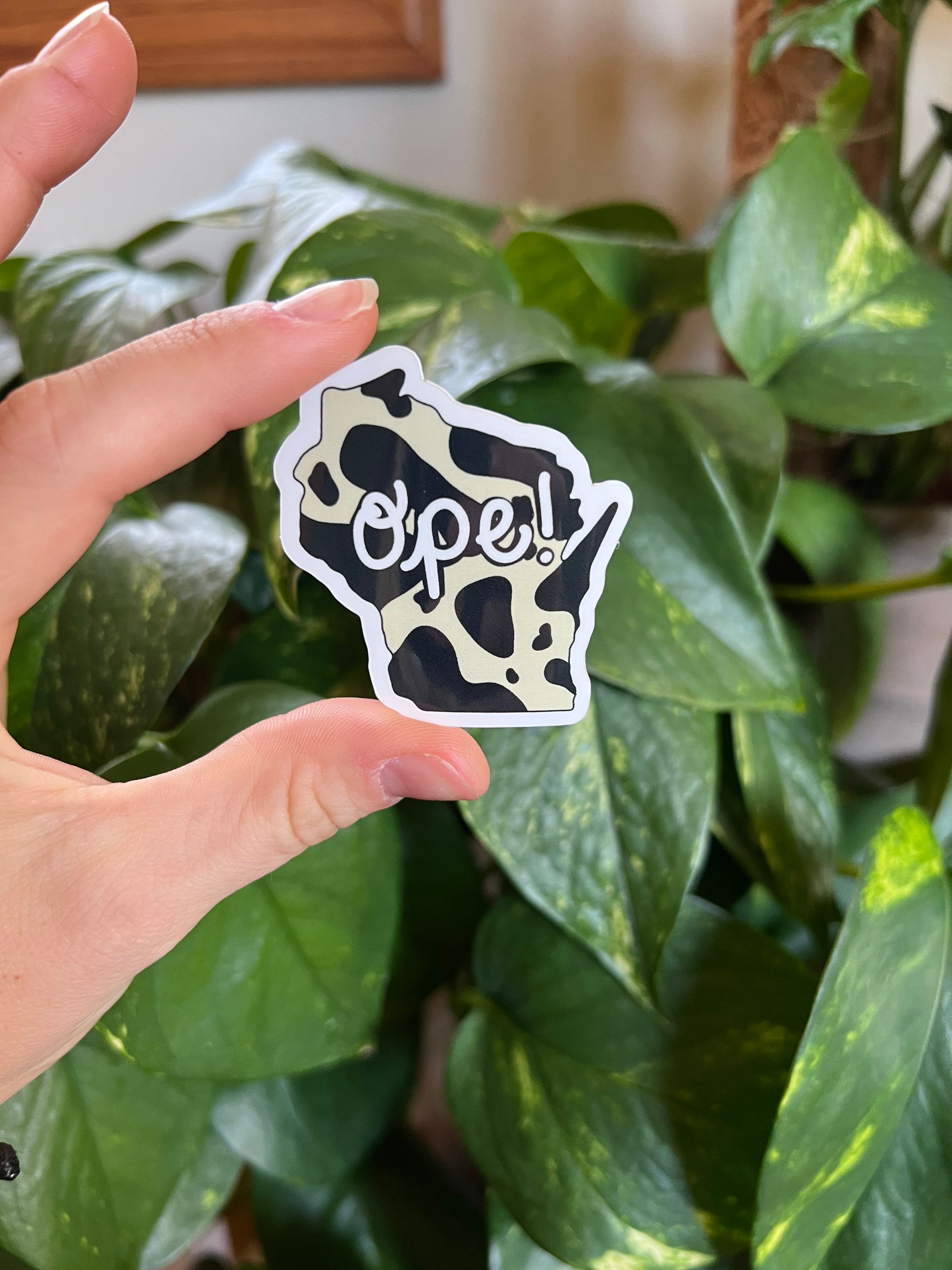 Cowhide ope Wisconsin Sticker - Etsy