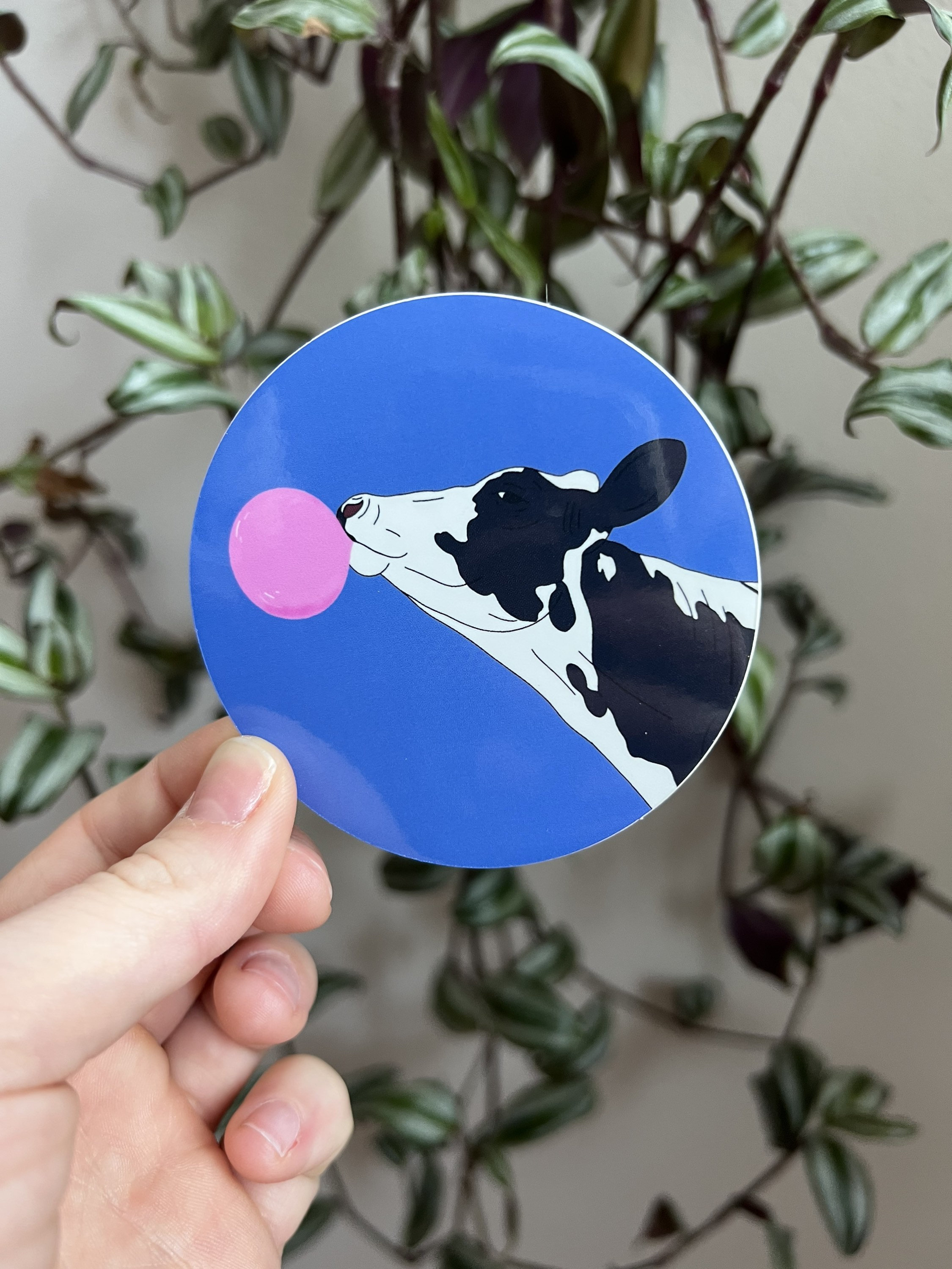 Bubble Gum Cow Sticker - Etsy