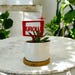 Mid Century Modern Plant Stakes - Etsy