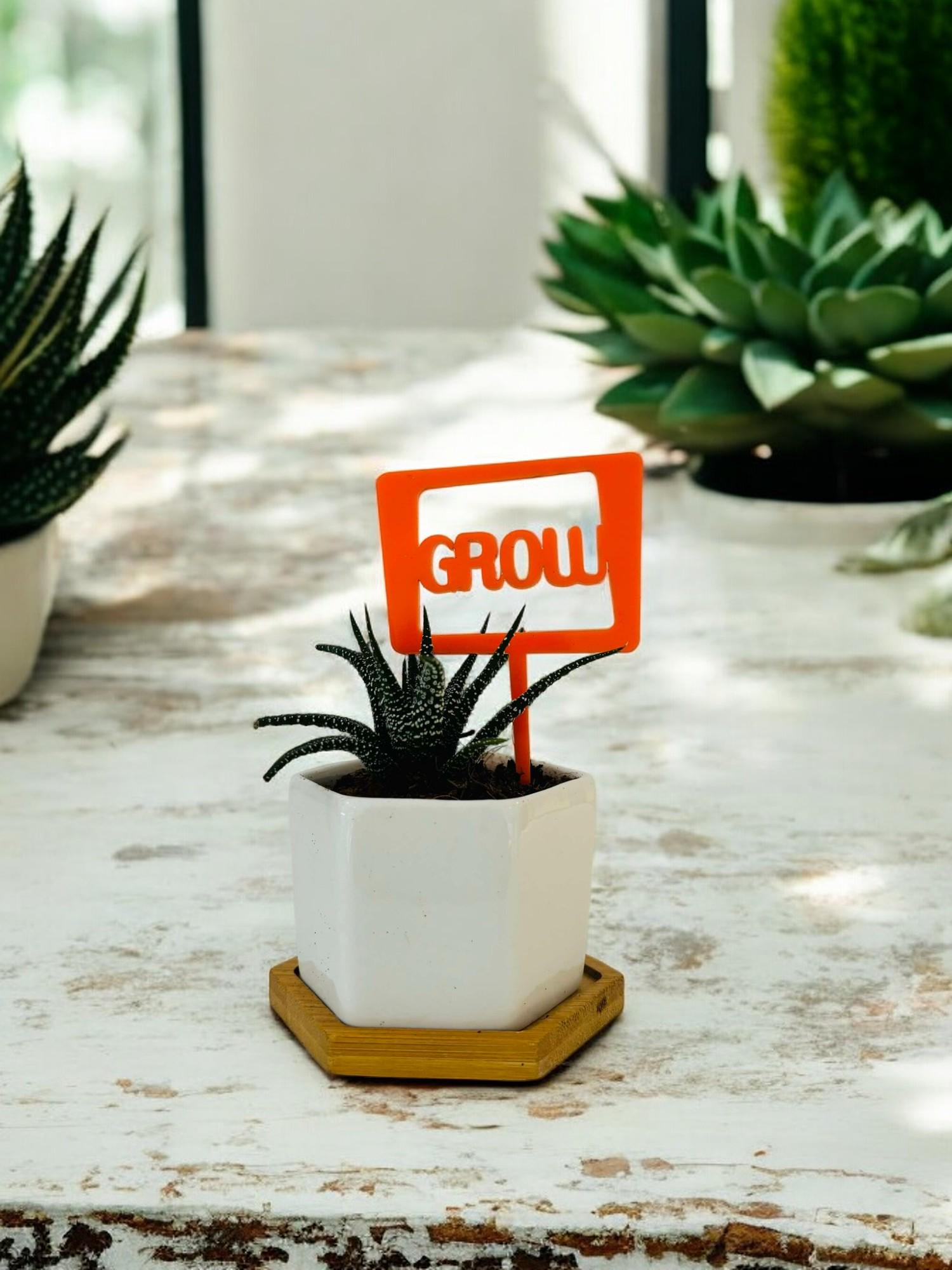 Mid Century Modern Plant Stakes - Etsy