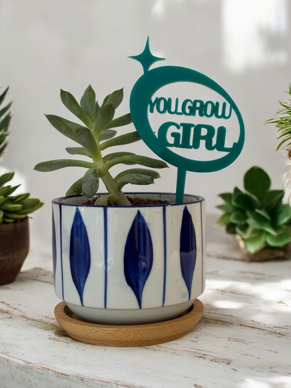 Mid Century Modern Plant Stakes - Etsy