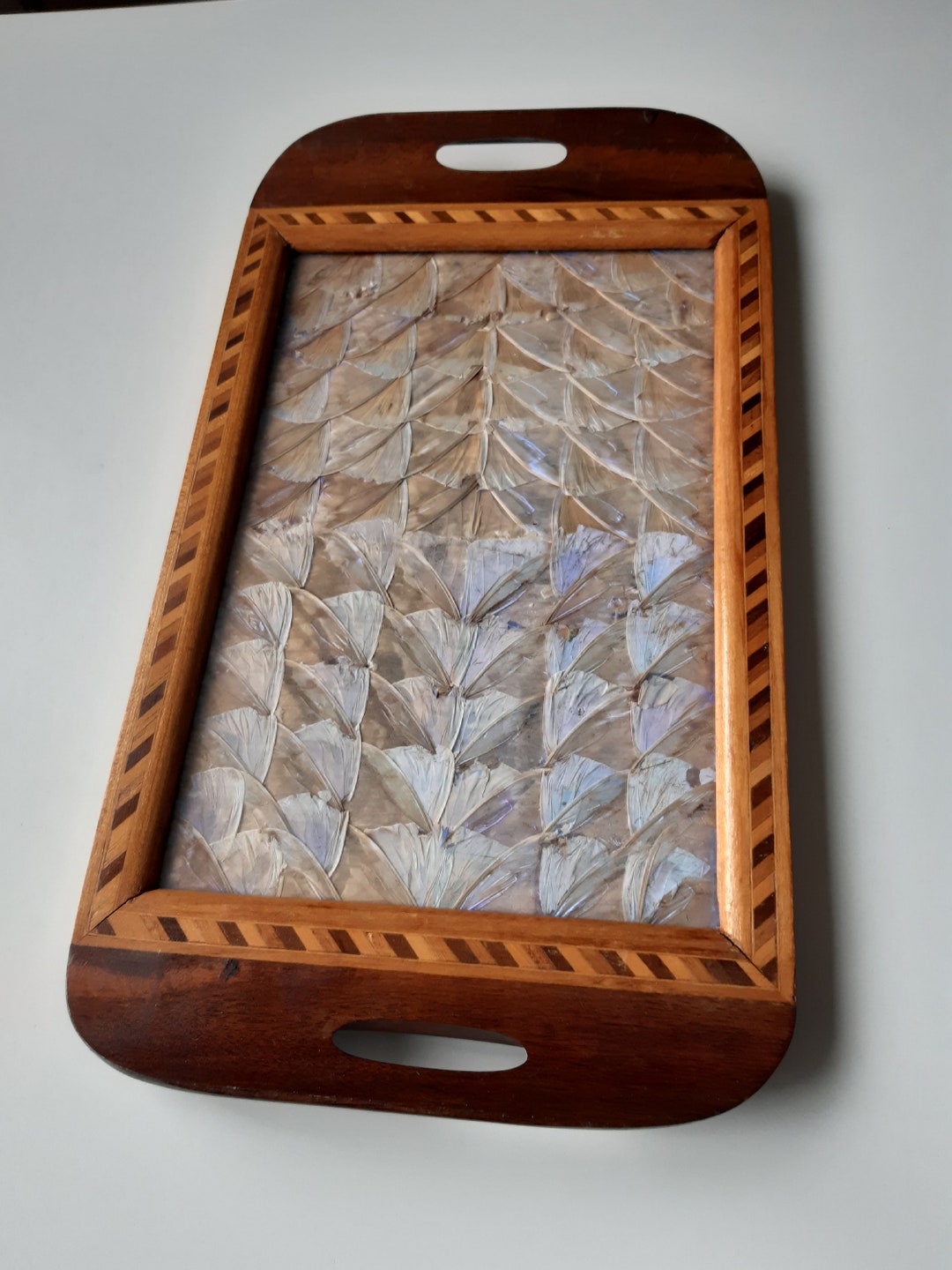 Art Deco Brazilian Butterfly Wing Tray - Etsy