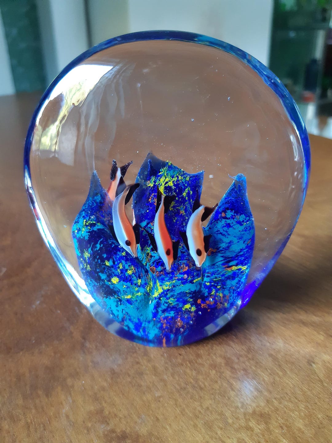 Murano Aquarium Glass Paperweight - Etsy