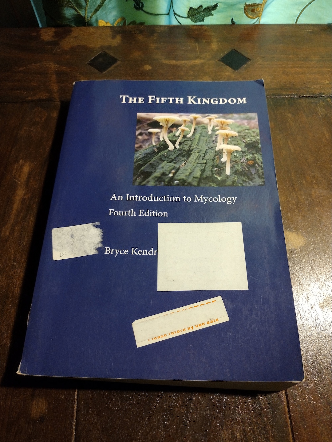 The Fifth Kingdom by Bryce Kendrick - Etsy