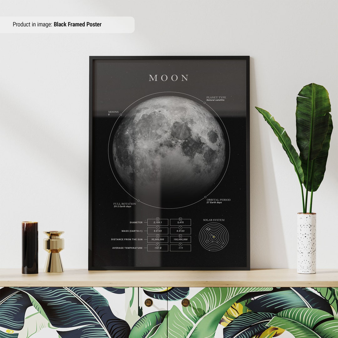 Facts About Moon Poster | Space Posters | Moon Infographic Space Wall ...