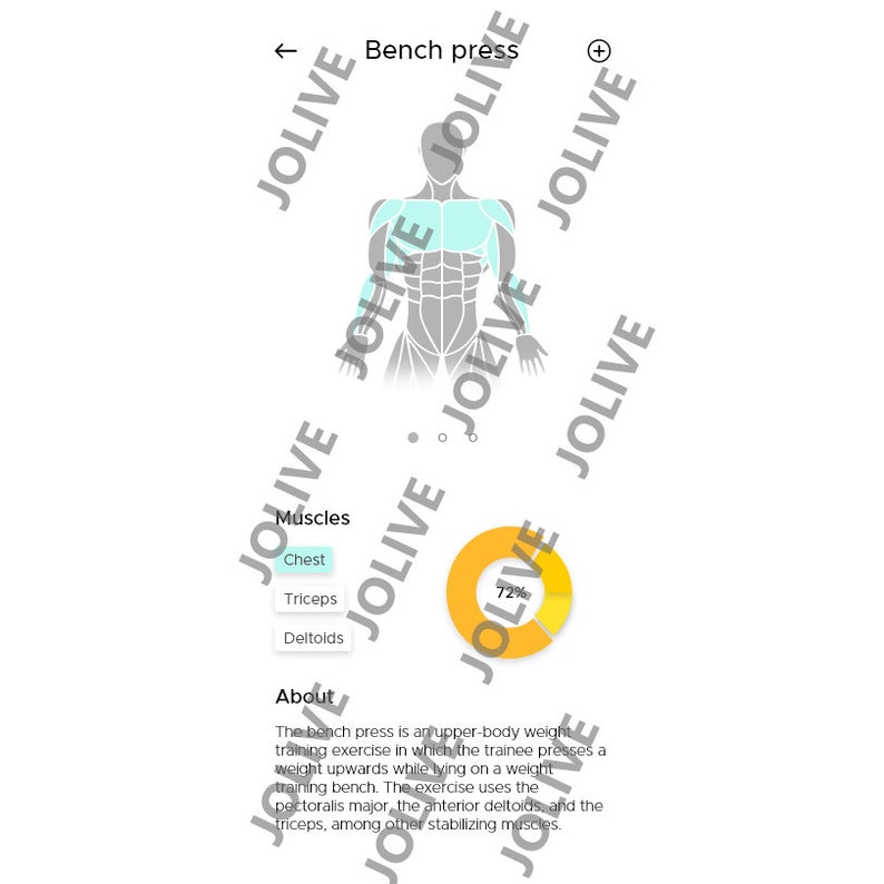 Human Body by Muscle - SVG - Etsy