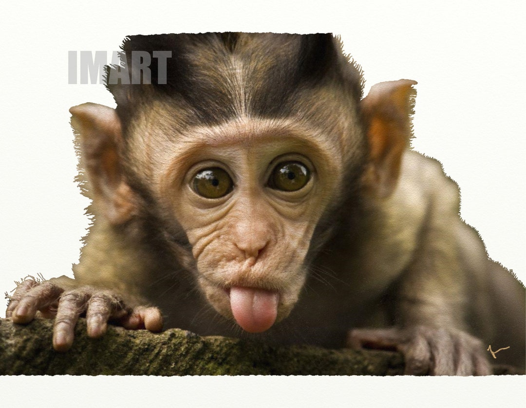 Cute Baby Monkey Digital Painting - Realistic Artwork - Etsy