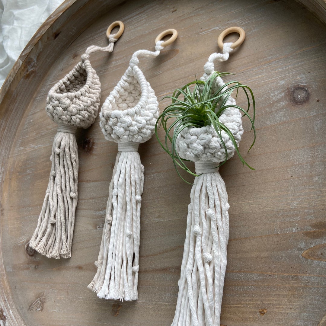 Macrame Air Plant Pod Air Plant Hanger - Etsy