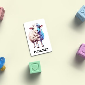 Kids Educational Flashcards Mockup, Flashcards Design Elements Mockup ...