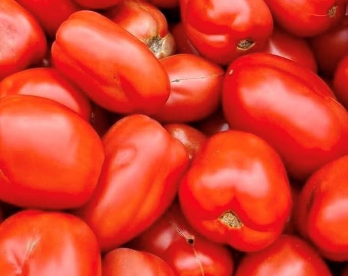 Amish Paste Tomato Seeds | Heirloom | Organic - Etsy