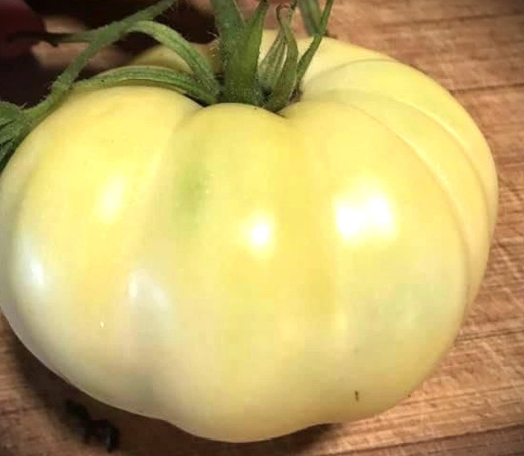 White Tomesol Tomato Seeds | Organic - Etsy