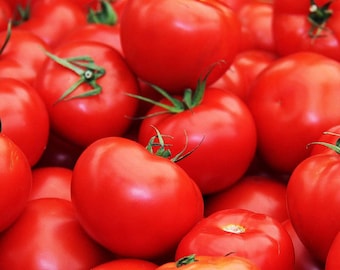 Tims Black Ruffles Heirloom Tomato Premium Seed Packet - Etsy