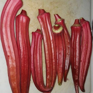 Jing Orange Okra Seeds | Organic - Etsy