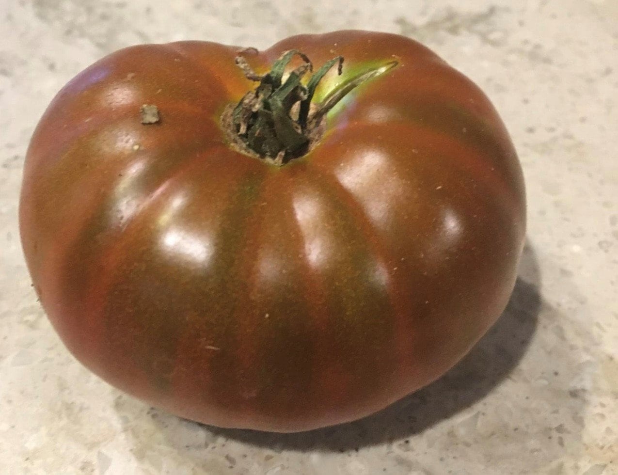 Paul Robeson Tomato Seeds | Heirloom | Organic - Etsy