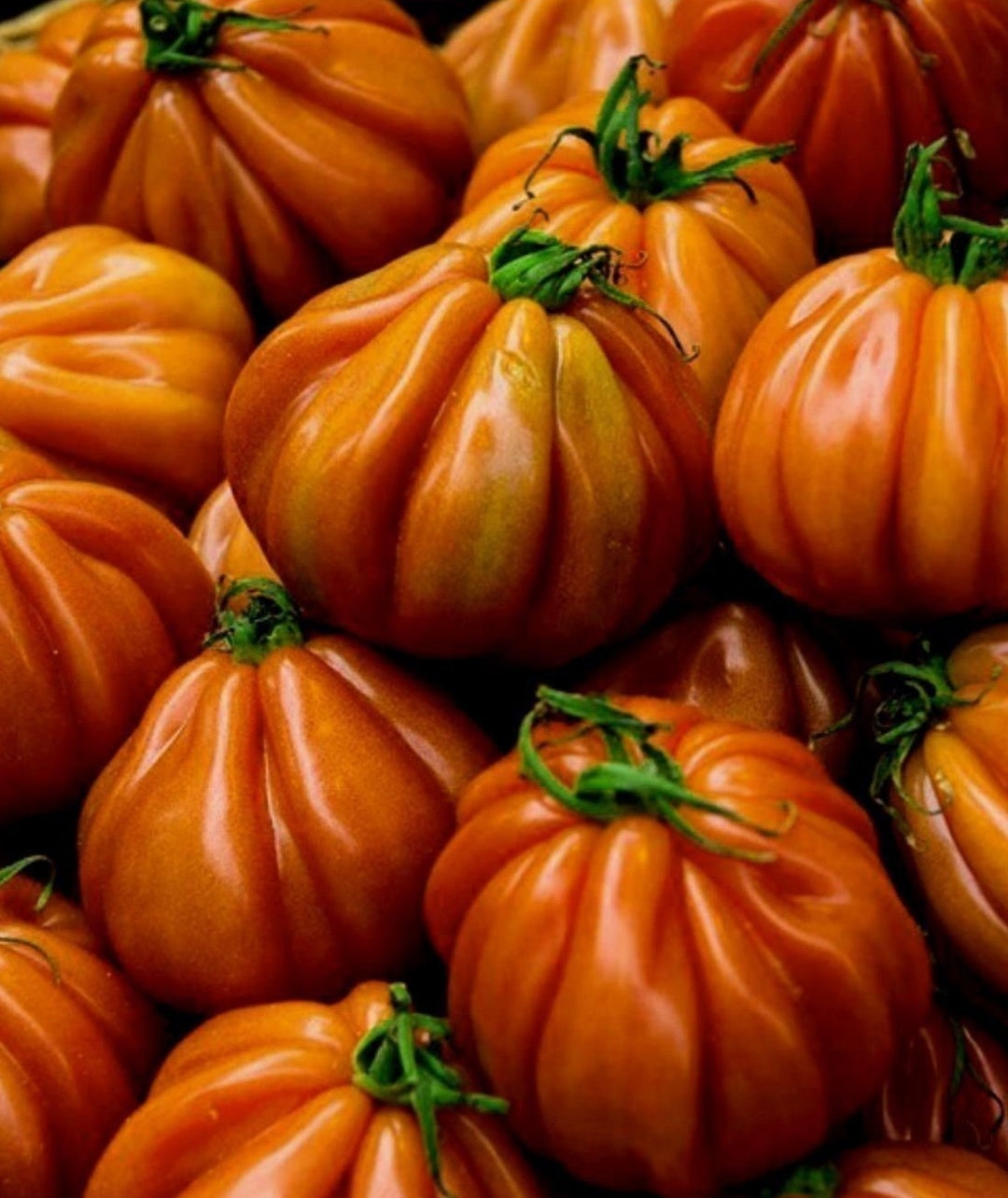 Charlie Chaplin Tomato Seeds | Heirloom | Organic - Etsy