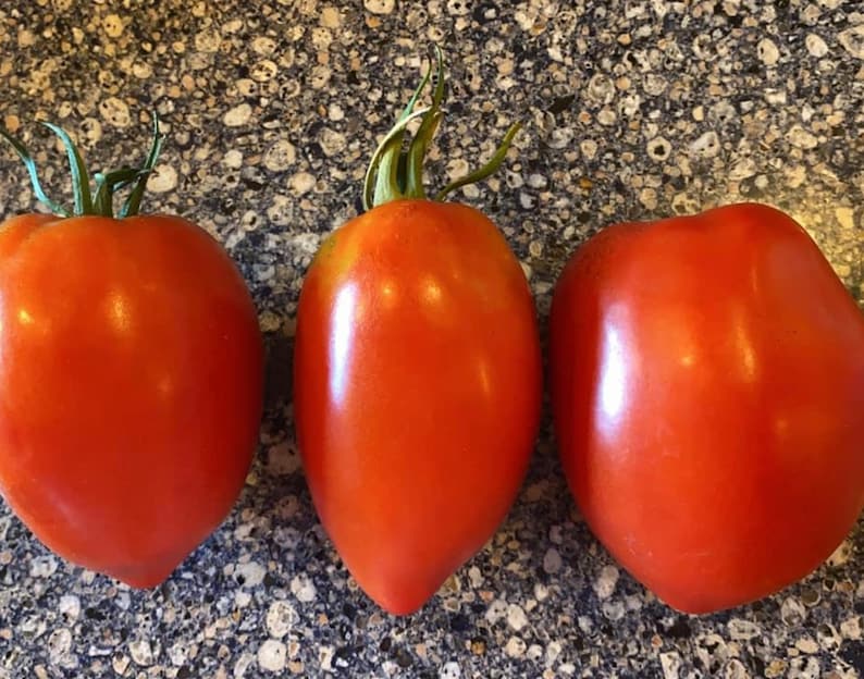 Amish Paste Tomato Seeds | Heirloom | Organic - Etsy