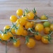 Yellow Currant Tomato Seeds | Heirloom | Organic - Etsy