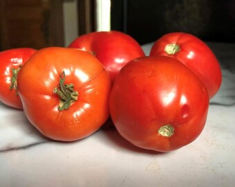 Federle Tomato Seeds Heirloom Organic Paste Tomato - Etsy