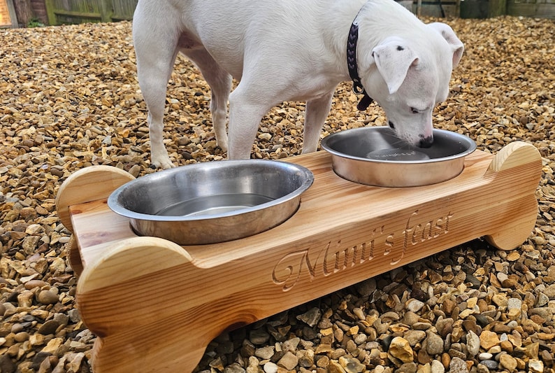 CNC Router Project Files. Dog Bowl Stand, Dog Food Stand, Cat Bowl ...