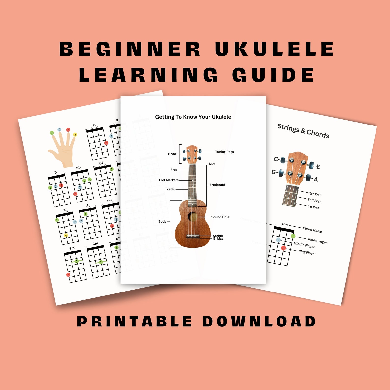 Beginner Ukulele Chords, Ukulele Learning Guide, Easy Ukulele Chords ...