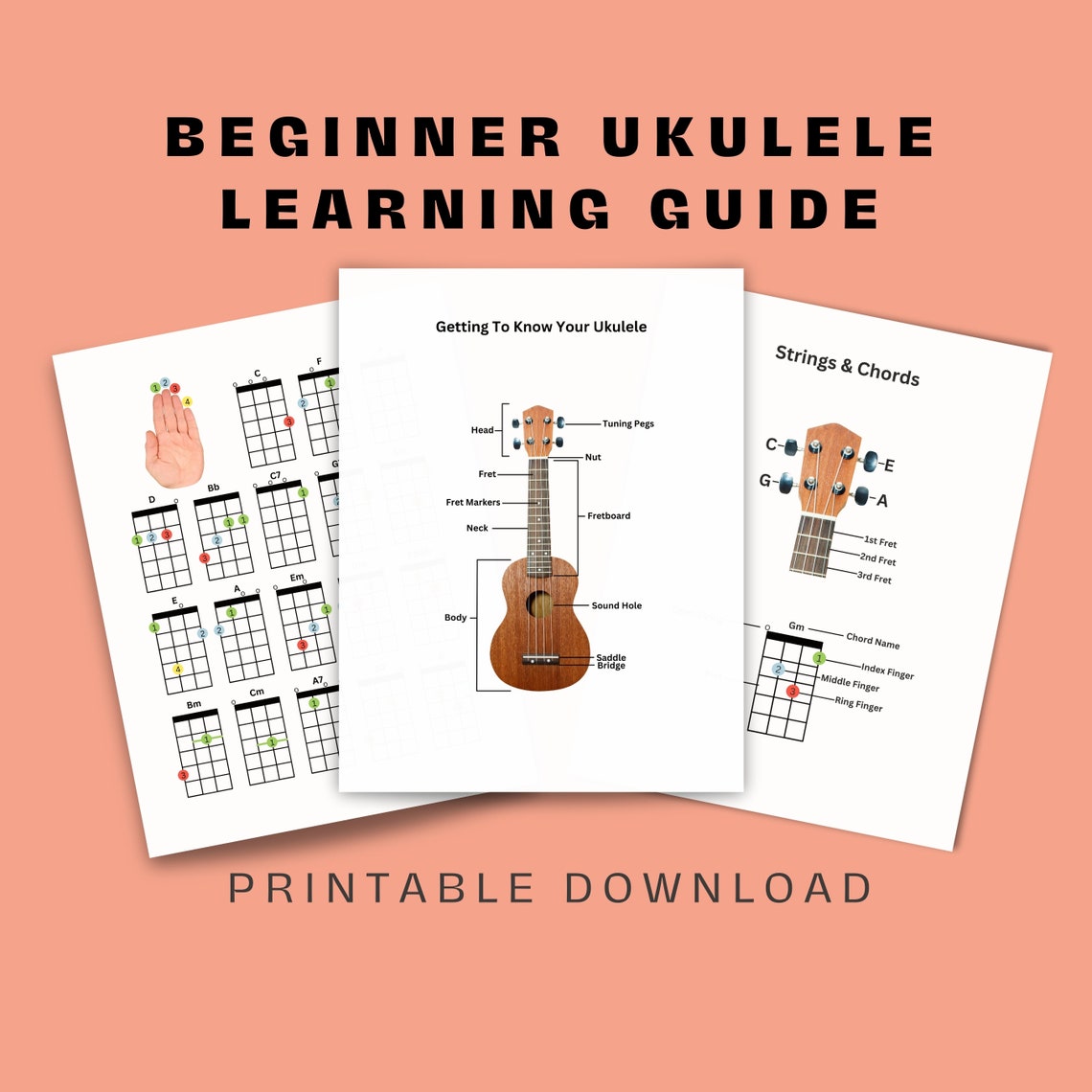 Beginner Ukulele Chords, Ukulele Learning Guide, Easy Ukulele Chords ...