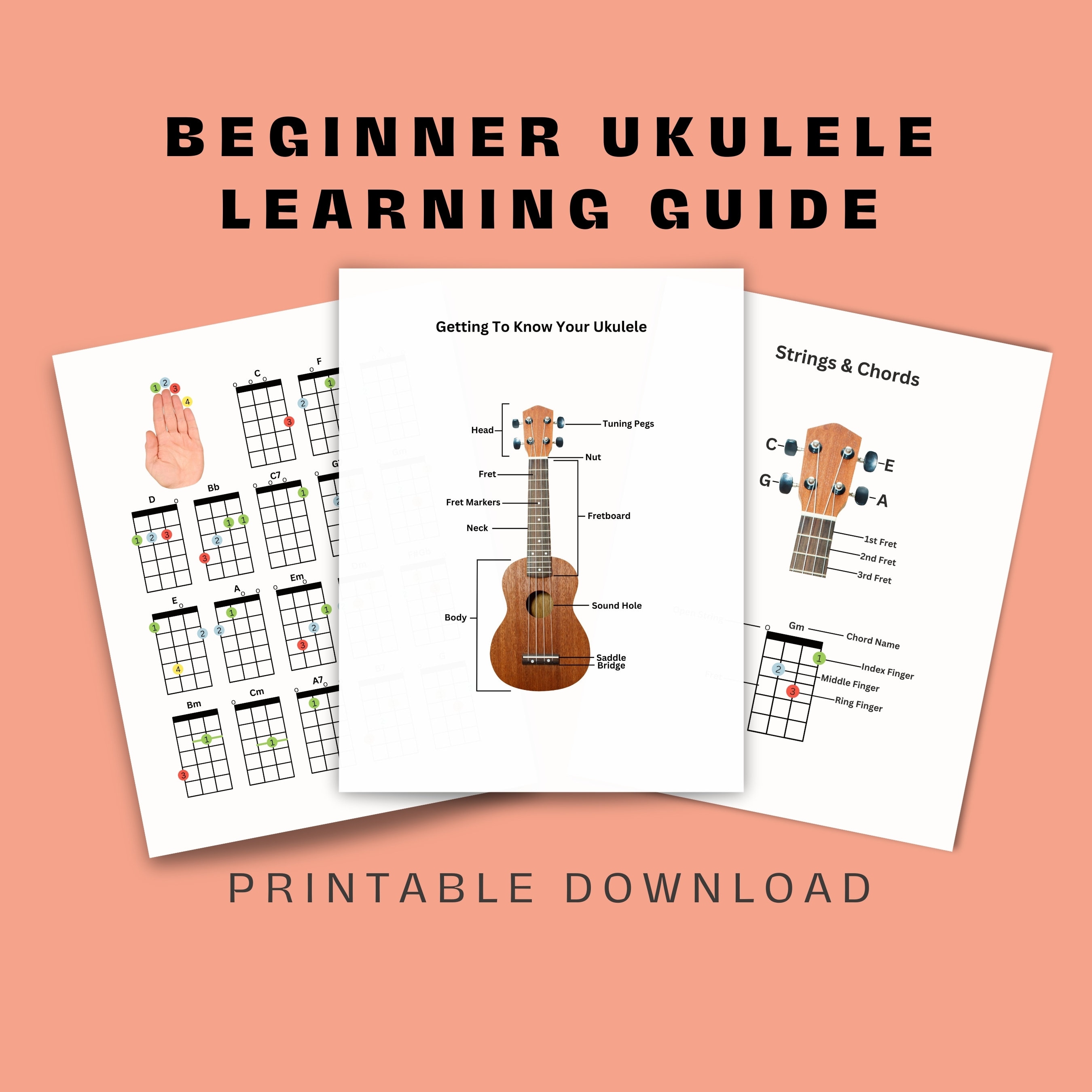 Beginner Ukulele Chords, Ukulele Learning Guide, Easy Ukulele Chords ...