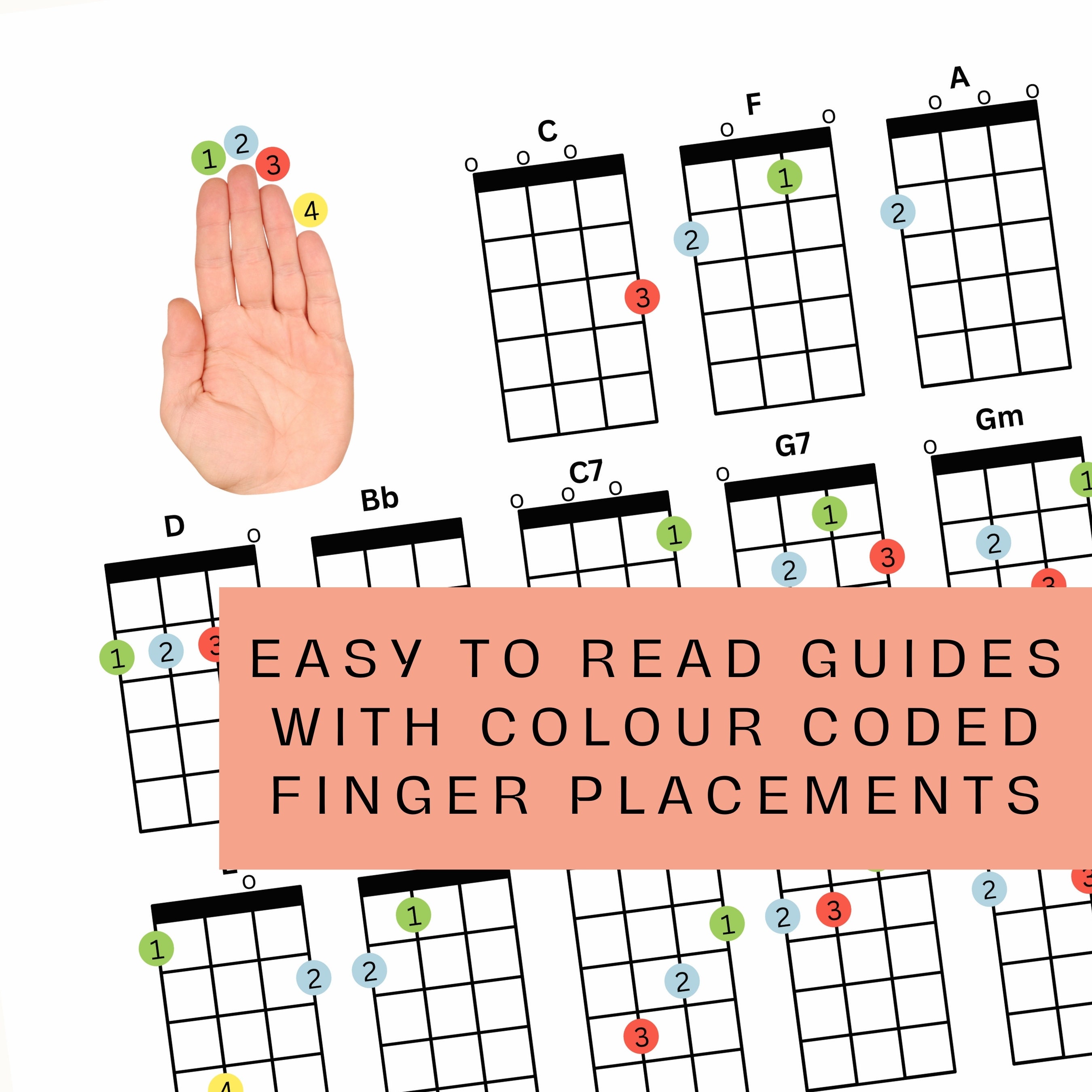 Beginner Ukulele Chords, Ukulele Learning Guide, Easy Ukulele Chords ...