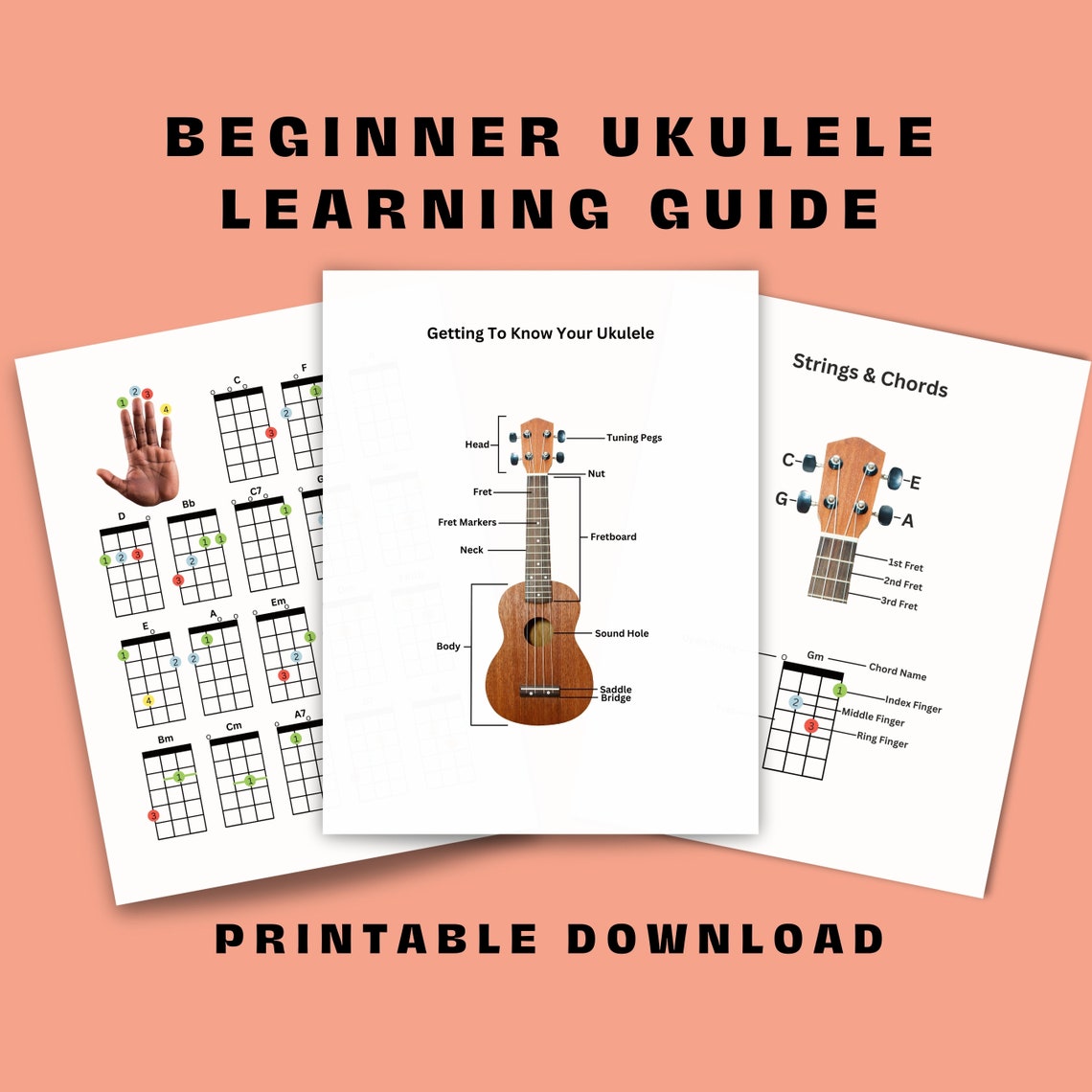 Beginner Ukulele Chords, Ukulele Learning Guide, Easy Ukulele Chords ...