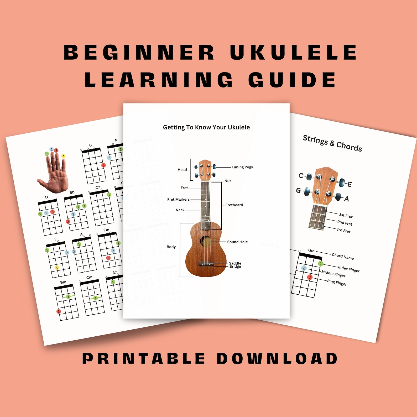 Beginner Ukulele Chords, Ukulele Learning Guide, Easy Ukulele Chords ...