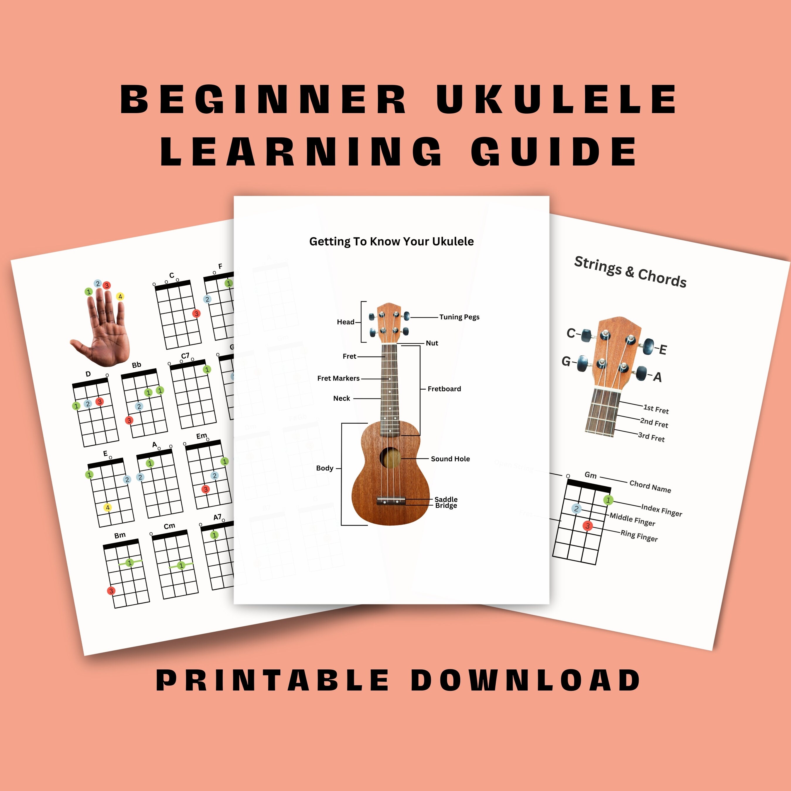 Beginner Ukulele Chords, Ukulele Learning Guide, Easy Ukulele Chords ...