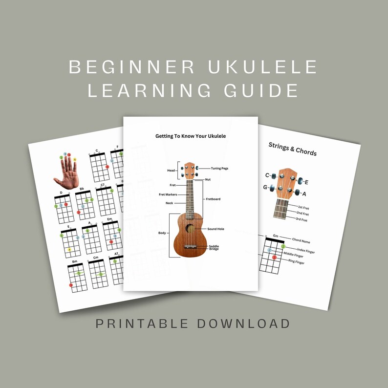 Beginner Ukulele Chords, Ukulele Learning Guide, Easy Ukulele Chords ...