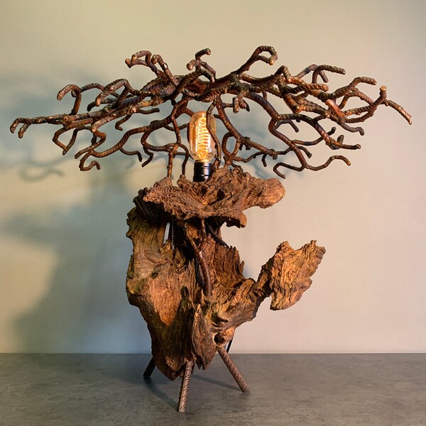 Live Edge Lighting - Etsy