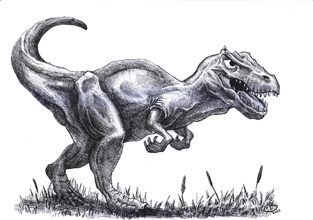 Allosaurus - Etsy