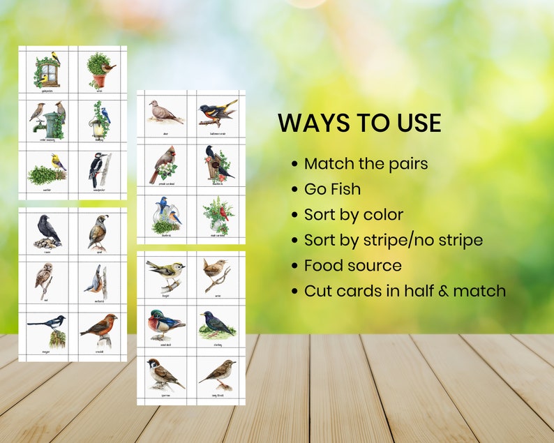Bird Matching Activity, Dementia/alzheimer Memory Game, Memory Care ...