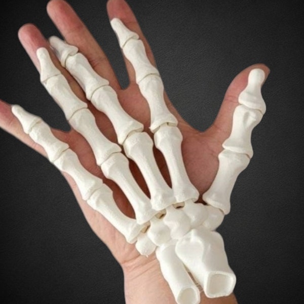 Skeleton Hand - Etsy