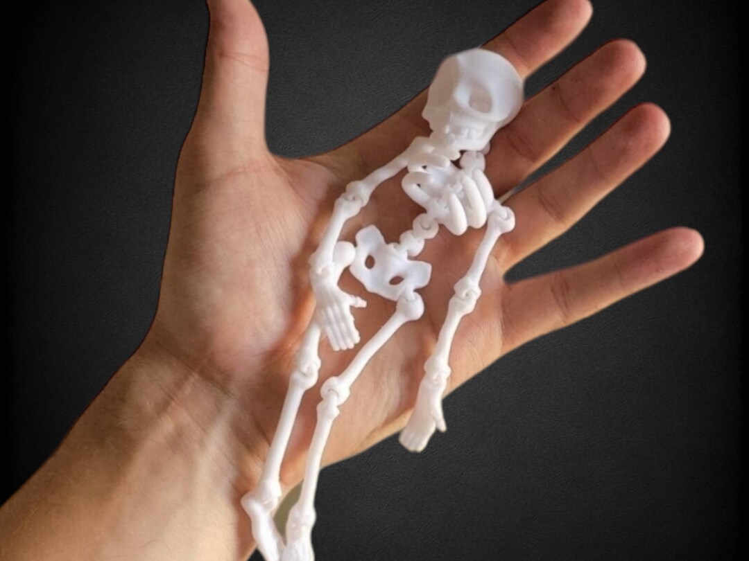 3D Printed Articulated Skeleton, Wall or String Mountable, Fidget Toy ...