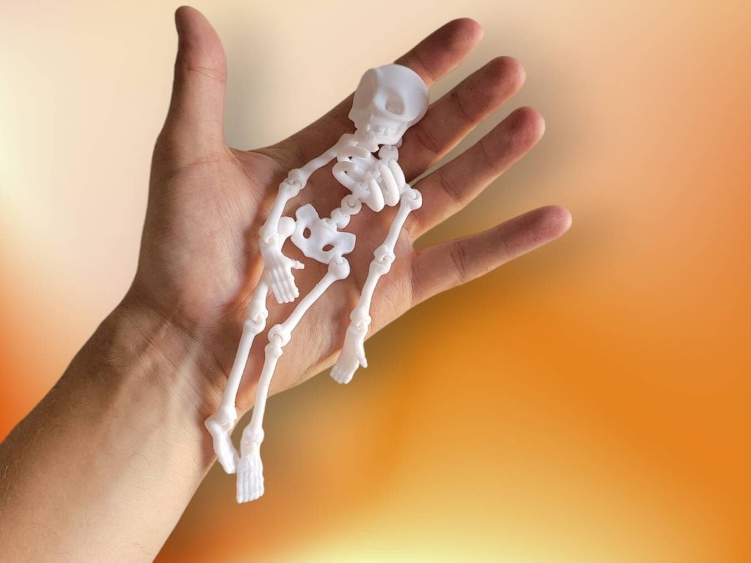 3D Printed Articulated Skeleton Wall or String Mountable - Etsy