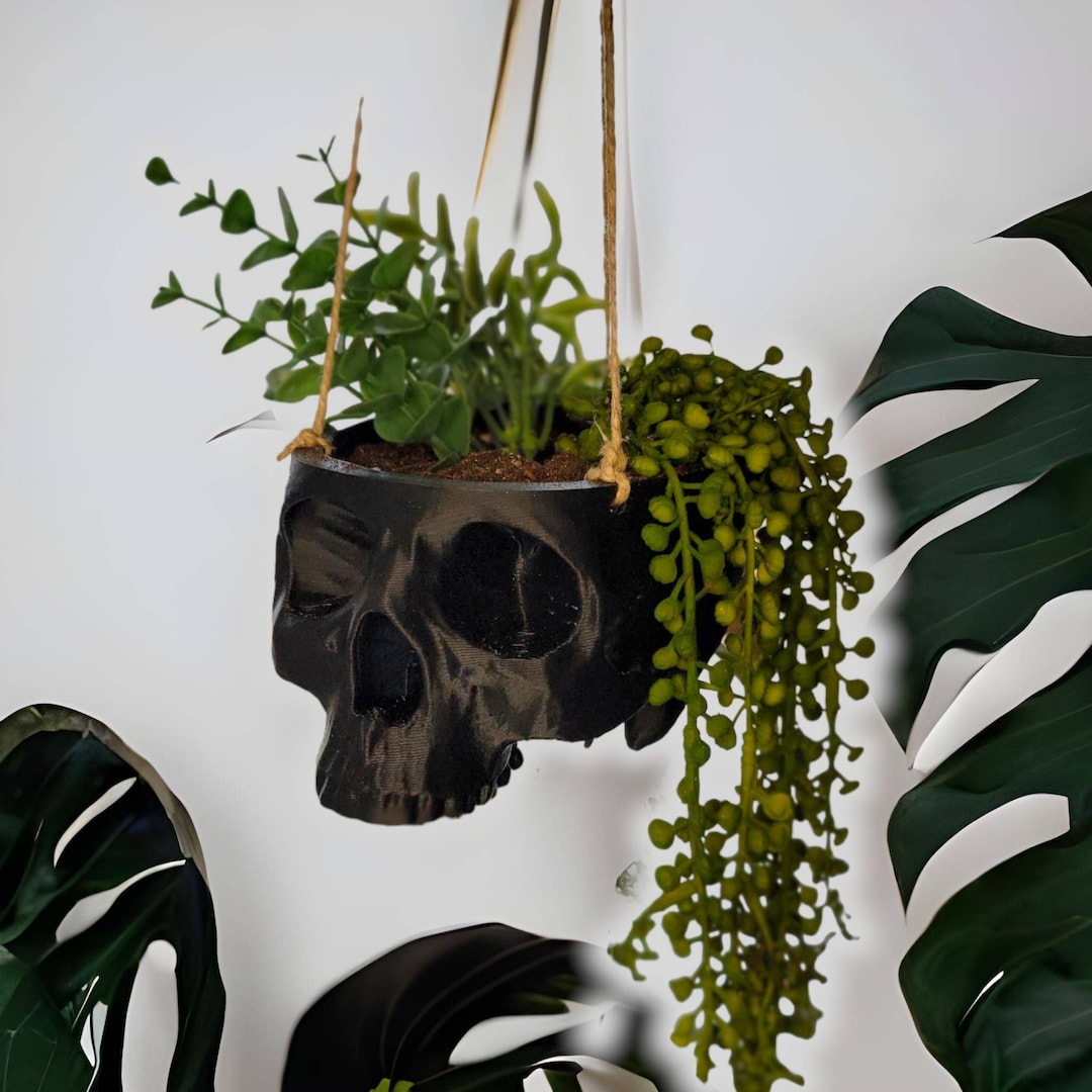 Extra Large 5 Sizes Hanging Human Skull Realistic Succulent Planter ...