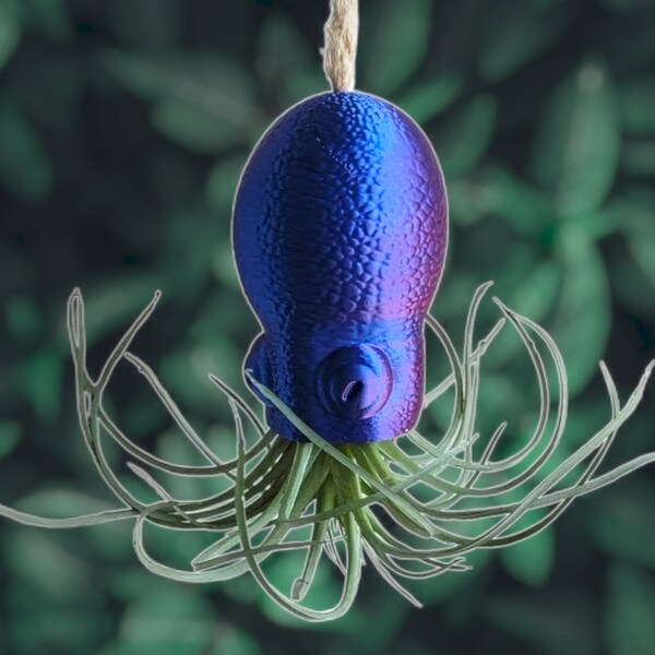 Octopus Air Plant Holder - Etsy