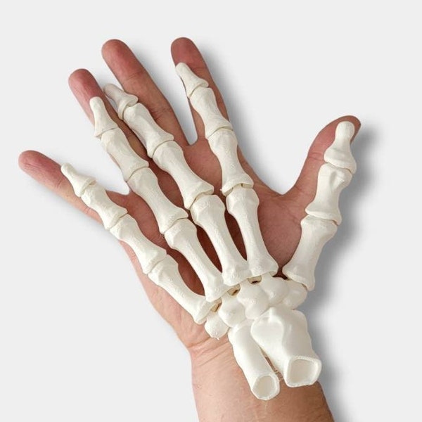 3d Print Skeleton Hand - Etsy