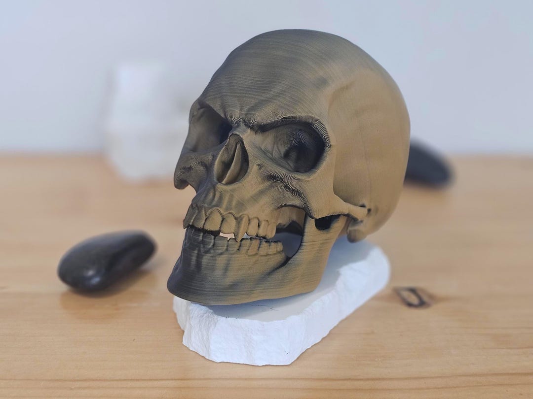 Articulated Vampire Skull Fidget Toy – 3D Printed Poseable Skull Desk ...