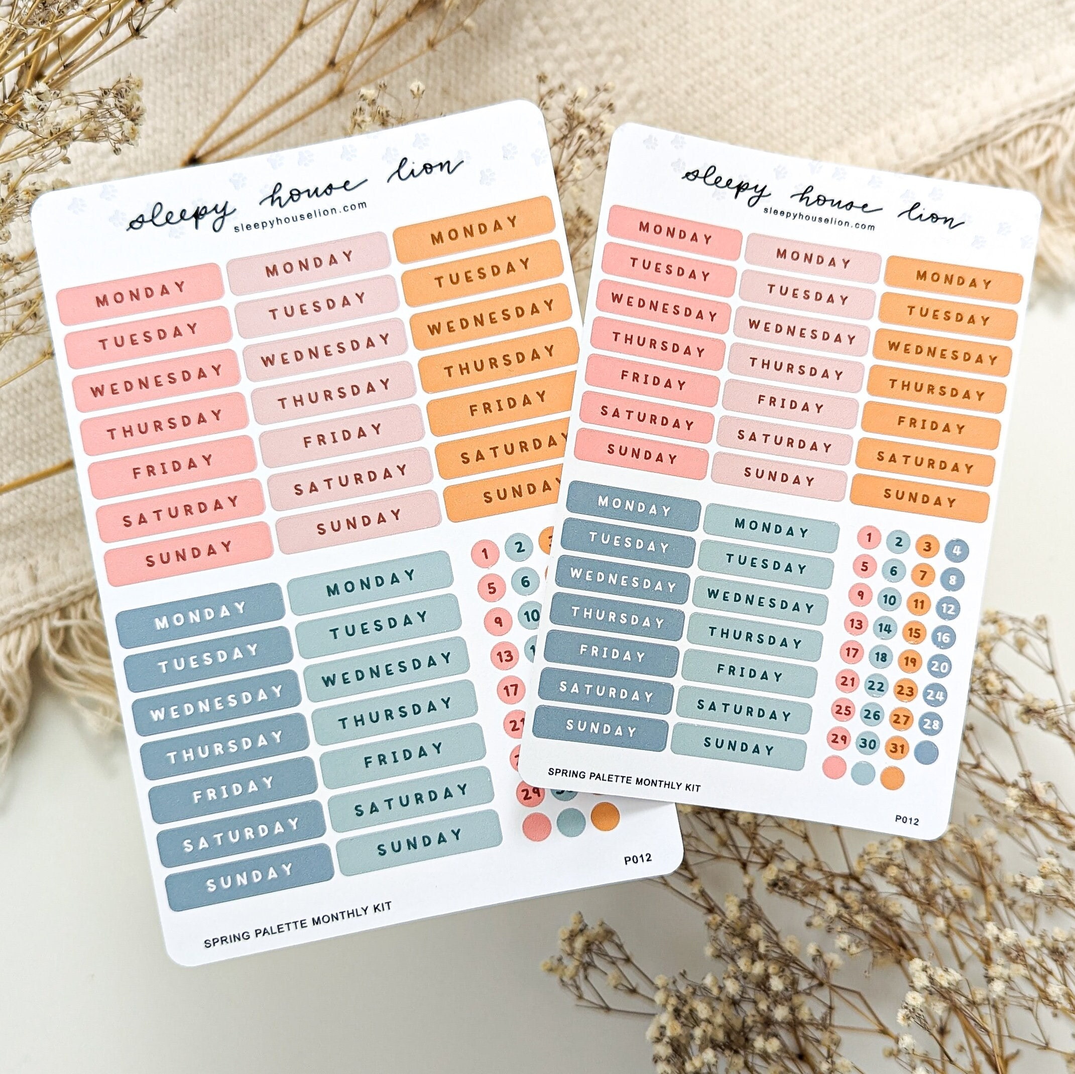 Weekly Bright Spring Color Palette Sticker Sheets Dots & - Etsy