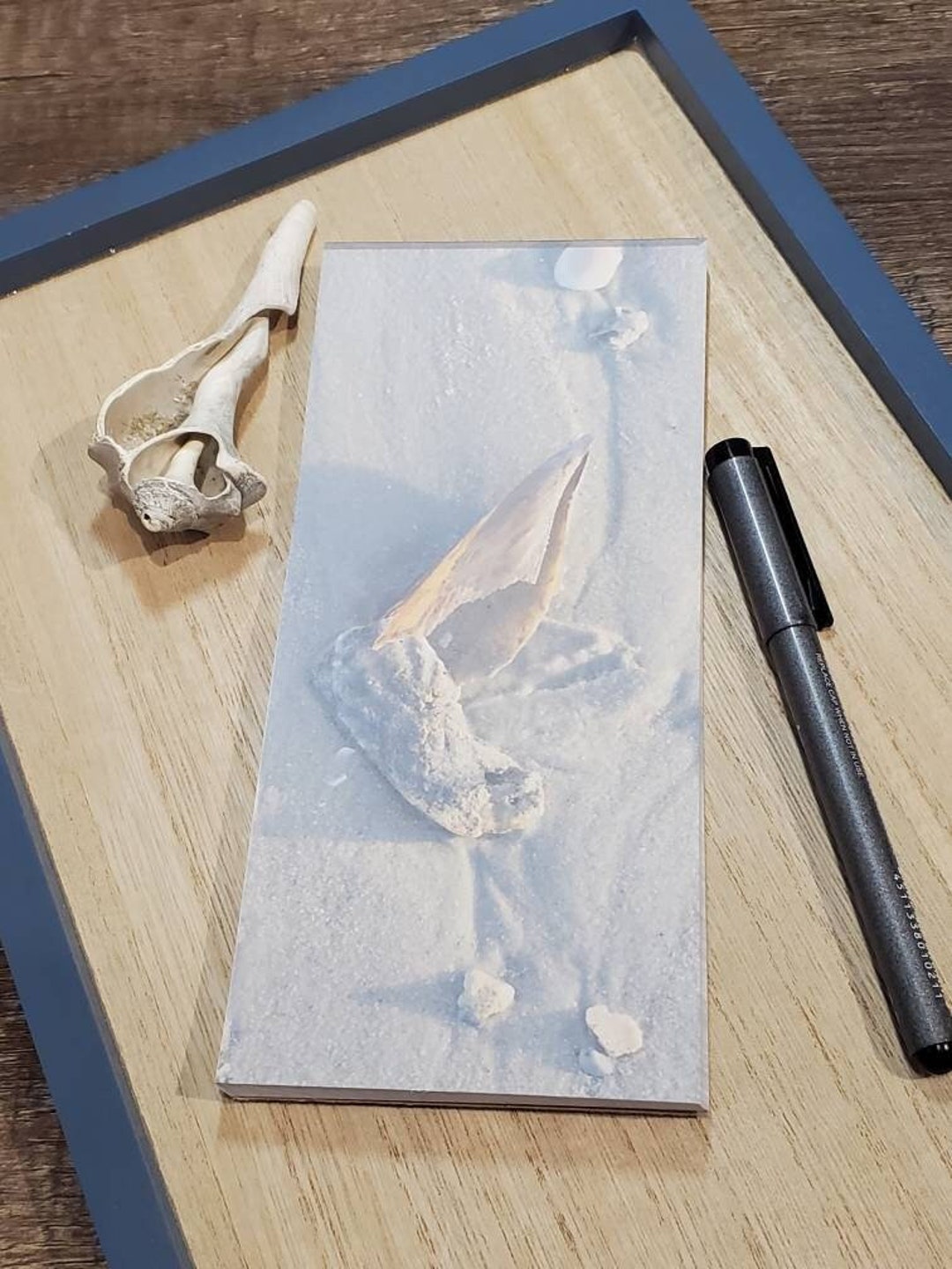 Stiff Pen Sea Shell and Oyster Shell, Ocean Beach, Grocery Pad, Writing ...