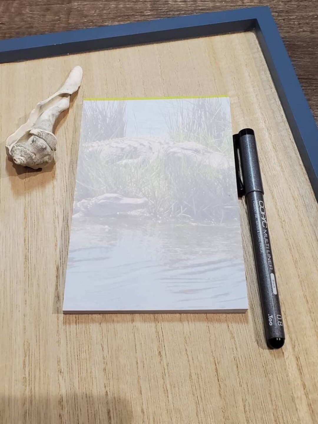 Large Alligators at HBSP, Grasses and Water, Notepad, 4x6 Memo, 50 Page ...